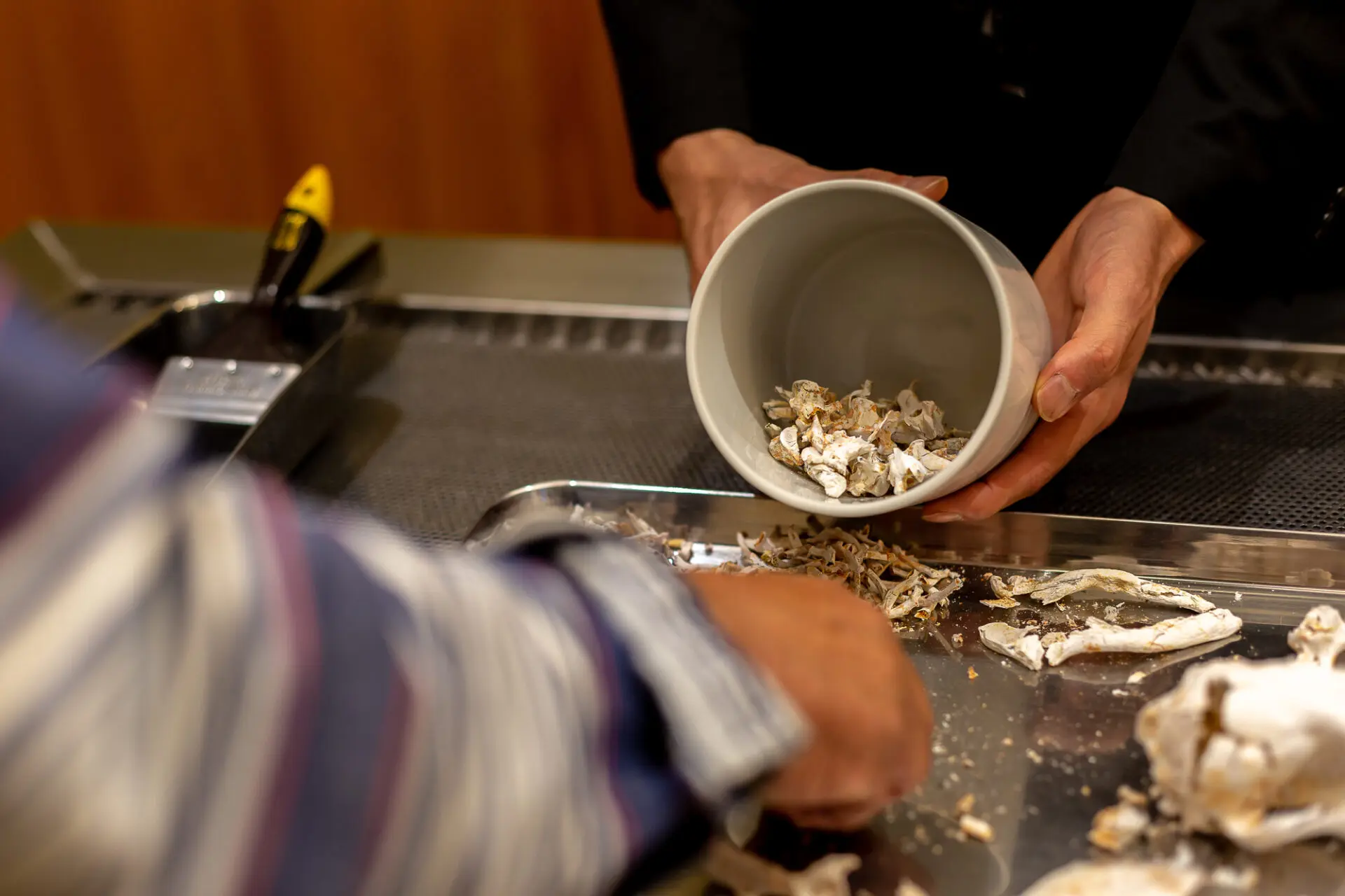 料金プラン - HuPet Life ペットメモリアル福岡